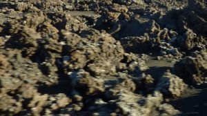 How to create a Victorian rockery | Publications - Advice