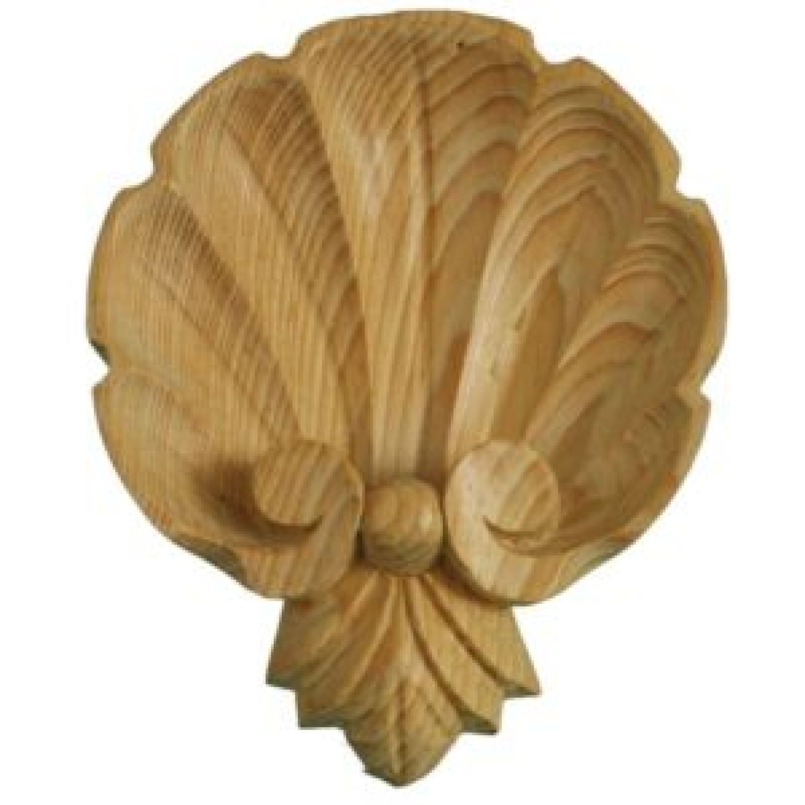 Large Shell | Decorative Mouldings | The Victorian Emporium