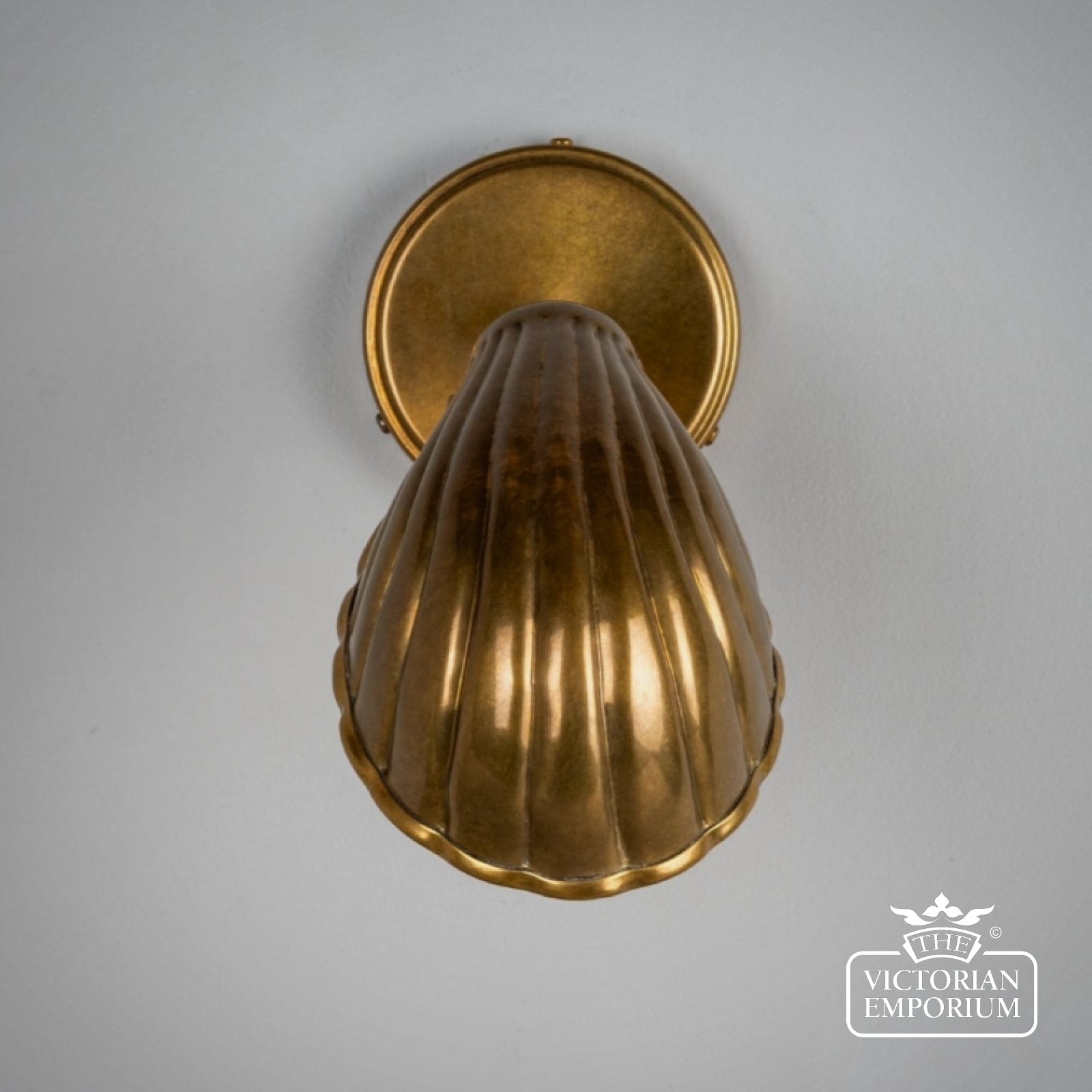 Shell Adjustable Brass Wall Light | Wall Lights